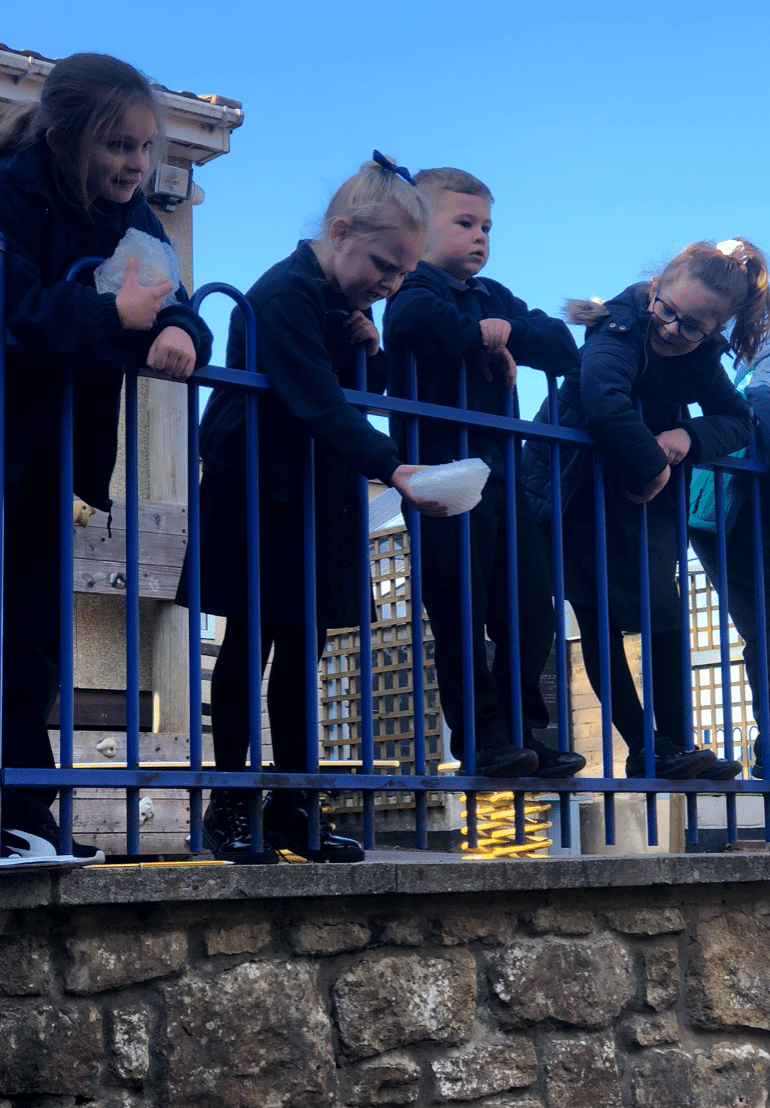 Willow Class - Year 2 - Dundry Primary School