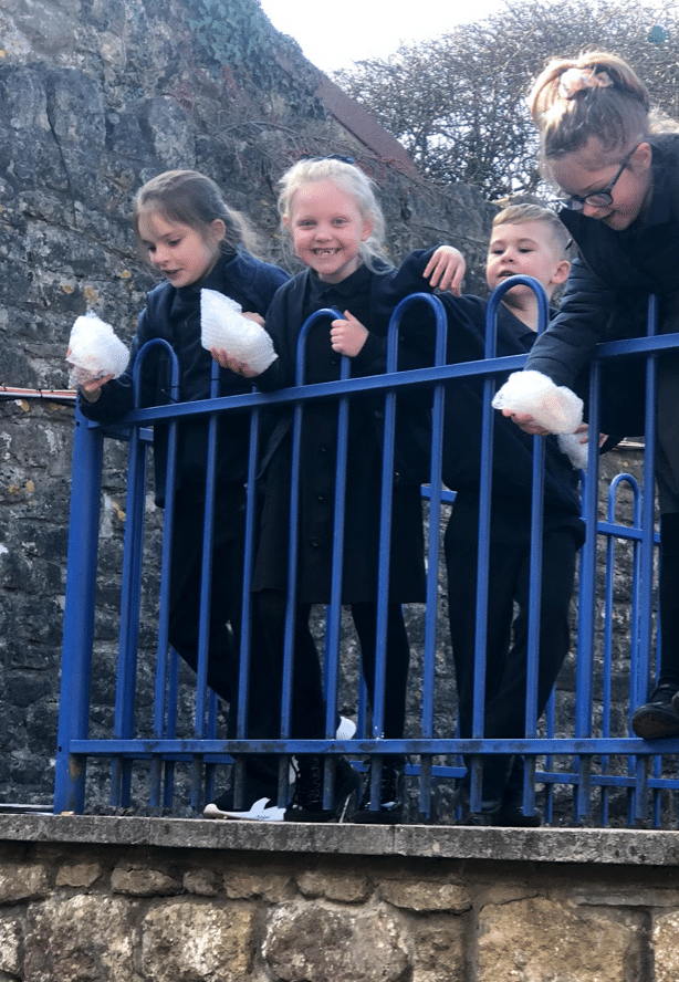 Willow Class - Year 2 - Dundry Primary School