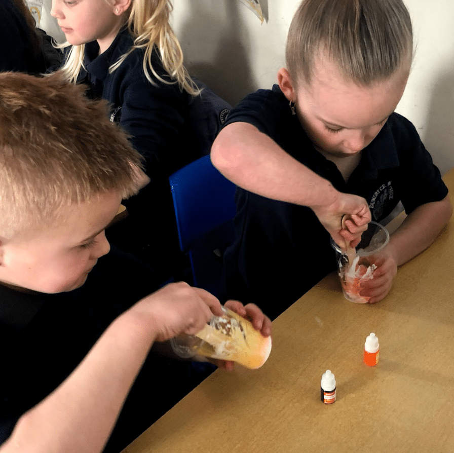 Willow Class - Year 2 - Dundry Primary School