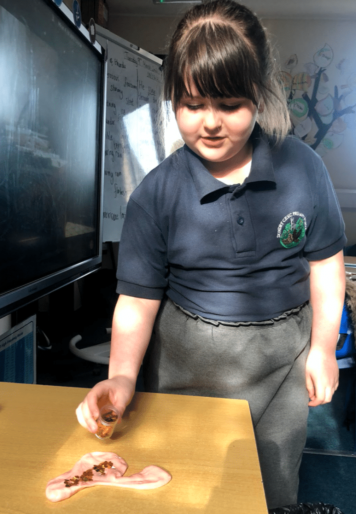 Willow Class - Year 2 - Dundry Primary School