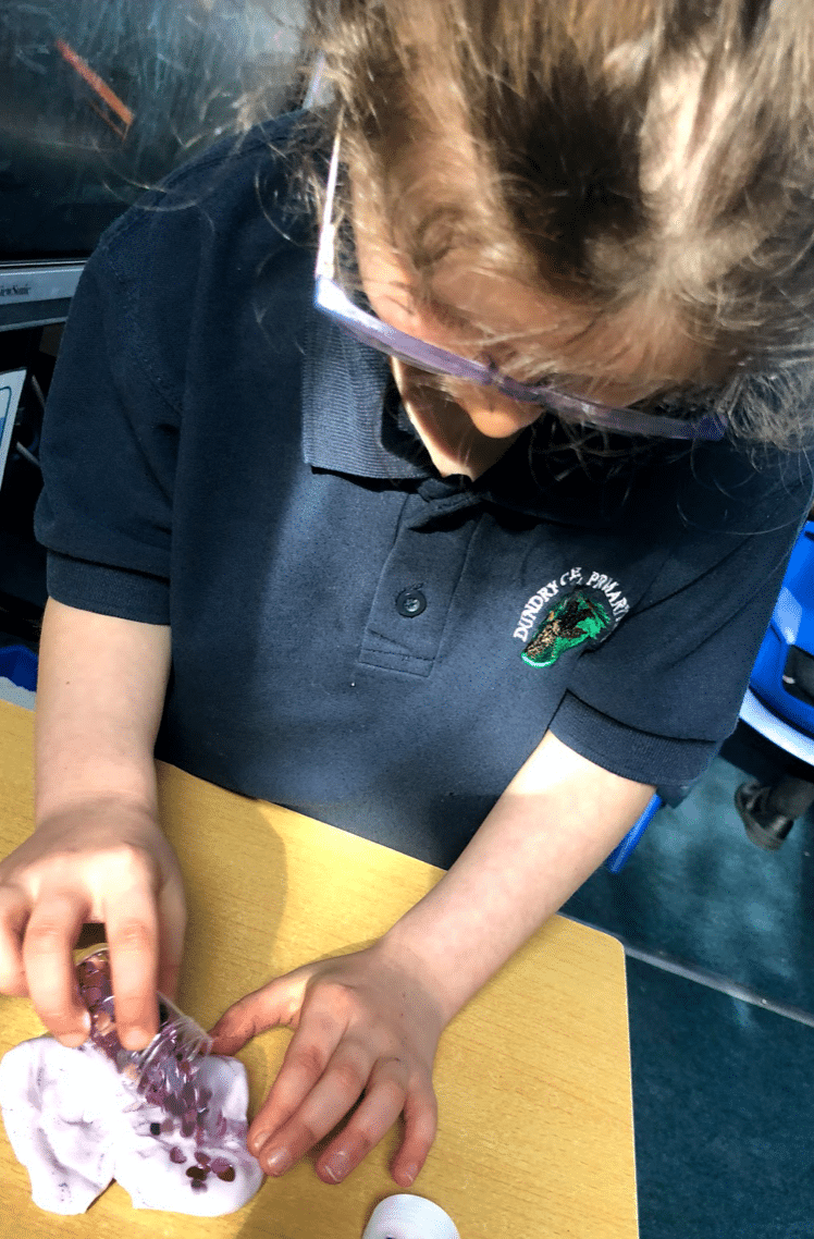 Willow Class - Year 2 - Dundry Primary School