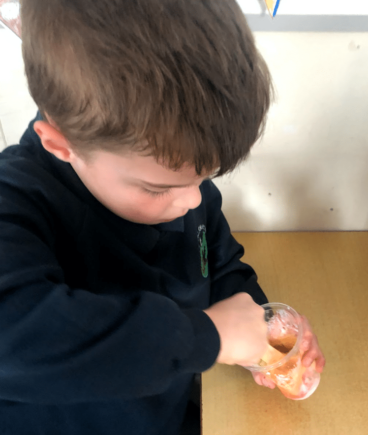 Willow Class - Year 2 - Dundry Primary School