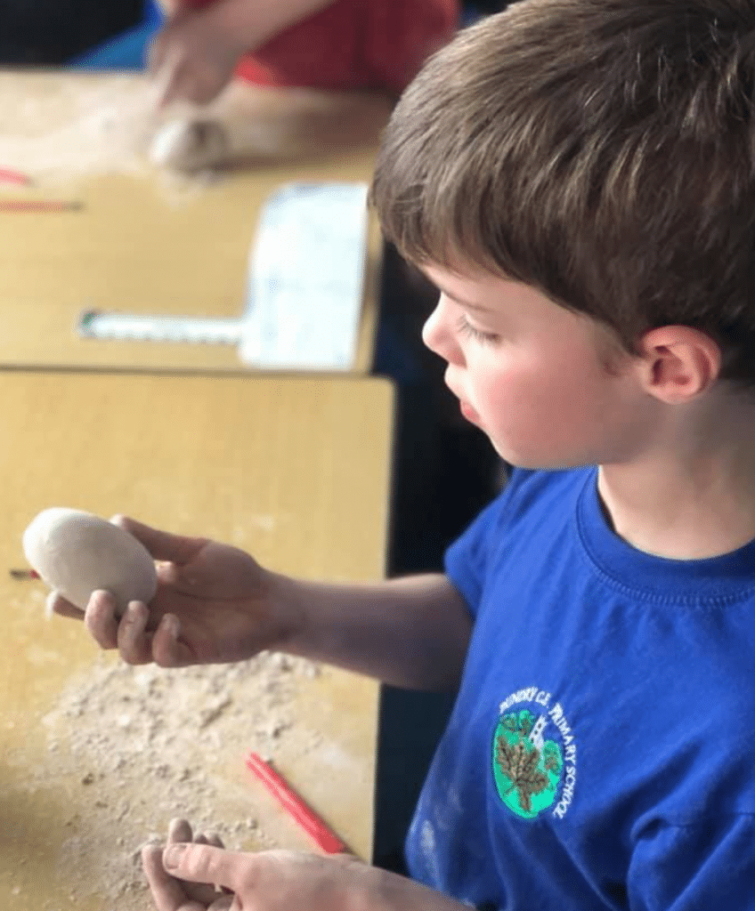 Willow Class - Year 2 - Dundry Primary School